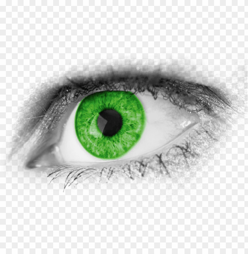 Free download | HD PNG green eyes PNG transparent with Clear Background ...