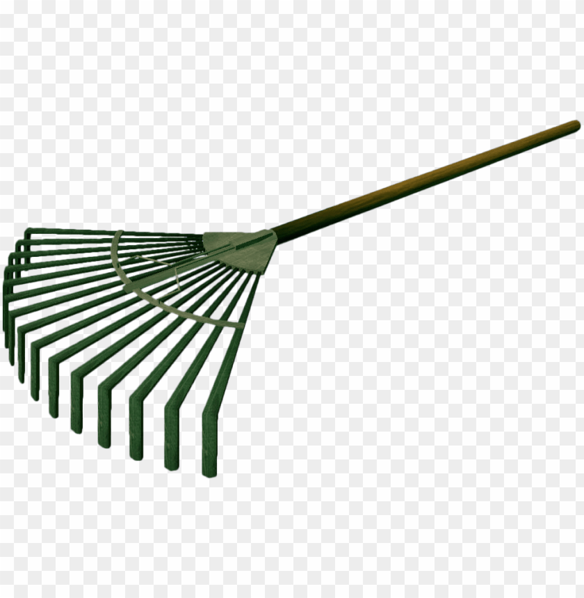 Free download | HD PNG Transparent Background PNG of green leaf rake ...