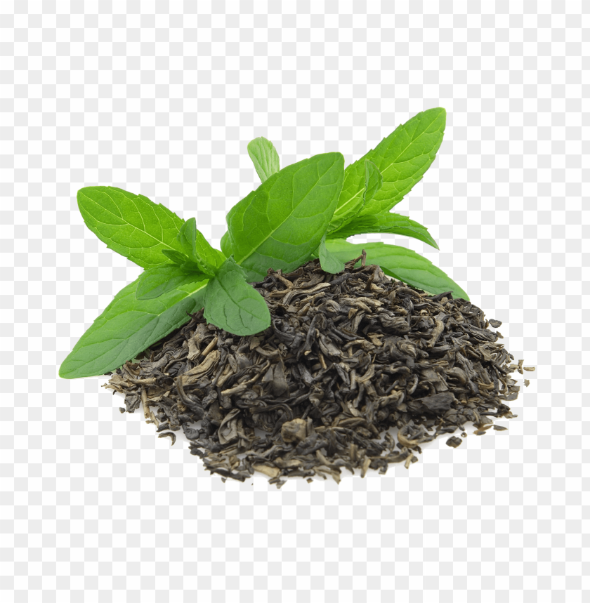 Free download | HD PNG loose green tea leaves png PNG images with ...