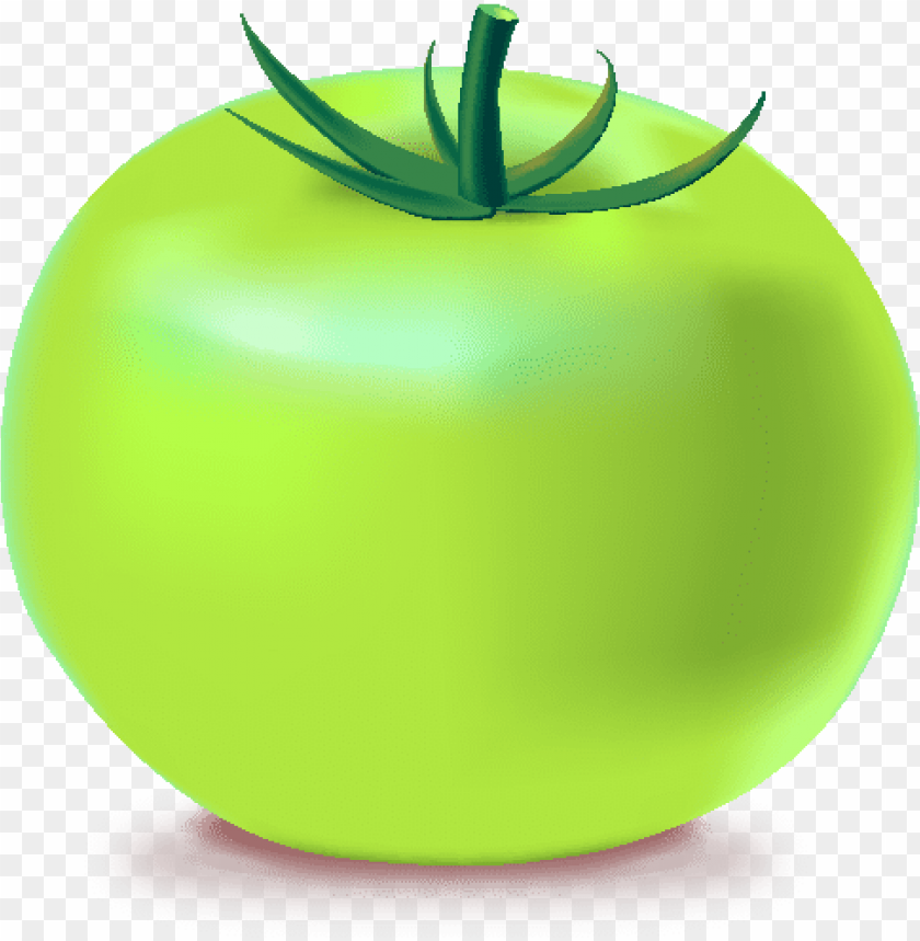 Free download | HD PNG green tomato icon PNG transparent with Clear ...