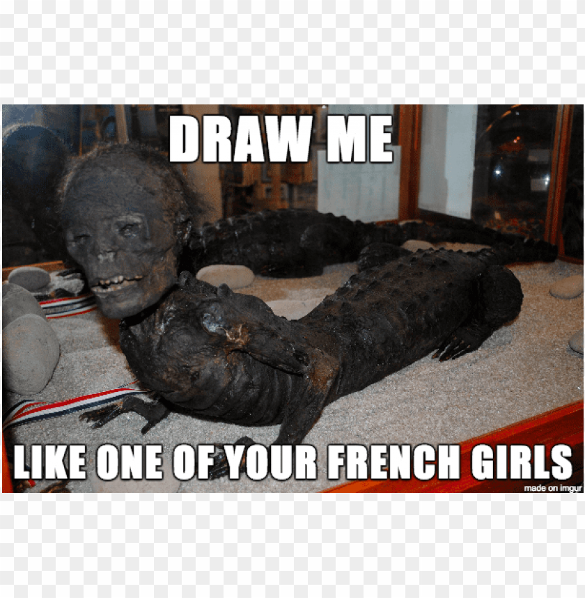 Free download | HD PNG haha meme PNG transparent with Clear Background ID 97106 | TOPpng