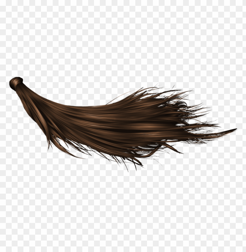 Free download | HD PNG flying brown hair strand with motion effect png ...