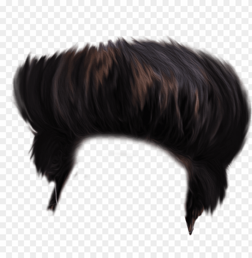 Free download | HD PNG hair png download hd quality picsart 25 hd hair PNG transparent with ...