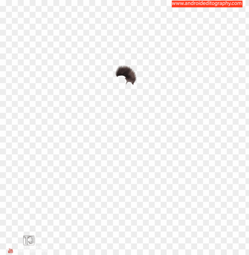 Free download | HD PNG hair png pyrrharctia isabella PNG transparent ...