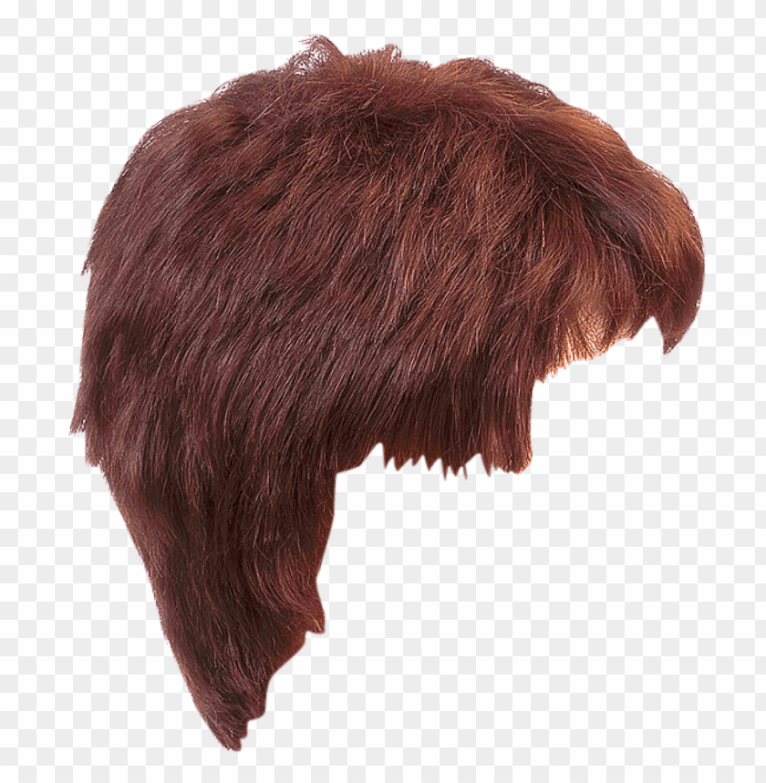 Free download | HD PNG hairstyle png PNG transparent with Clear ...