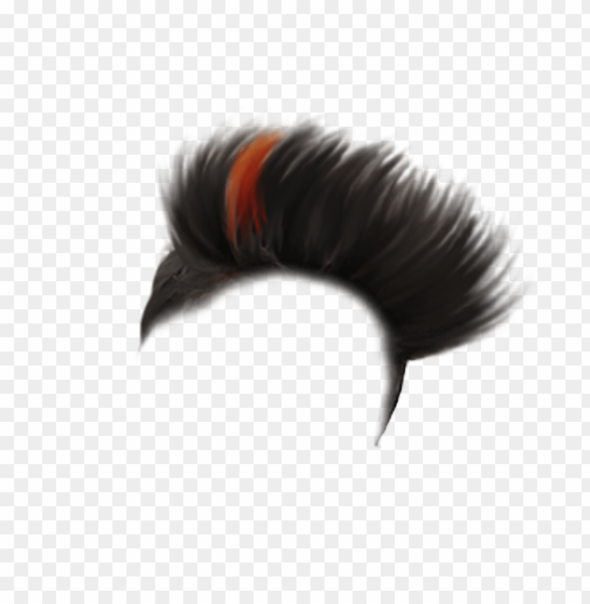 Free download | HD PNG hairstyle png PNG transparent with Clear ...