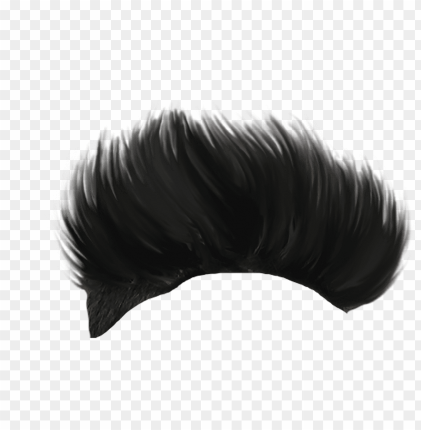Free download | HD PNG hairstyle png PNG transparent with Clear ...