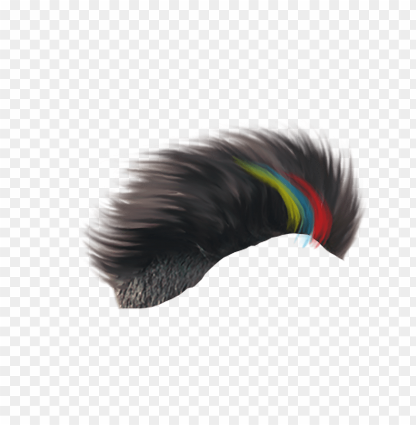 Free download | HD PNG hairstyle png PNG transparent with Clear ...