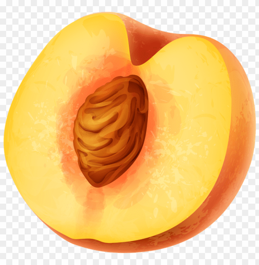 Free download | HD PNG peach half with seed exposed | TOPpng