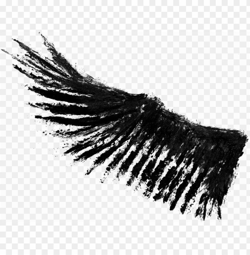 Free download | HD PNG half wings png photos wings photo in PNG ...