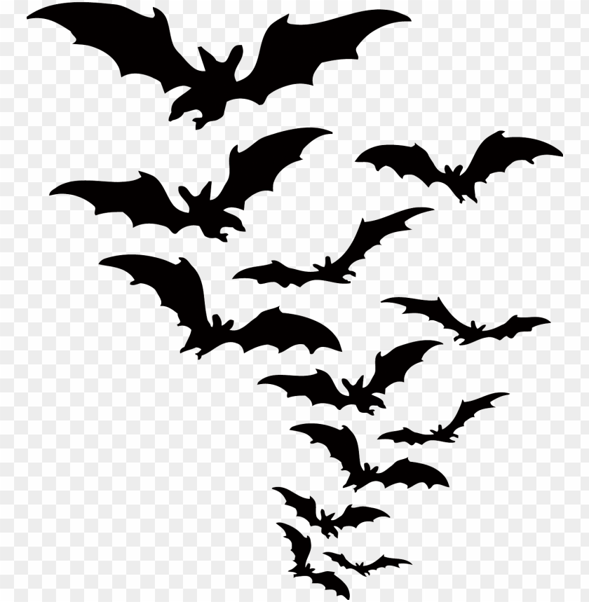 Free download | HD PNG halloween clipart transparent bats PNG ...