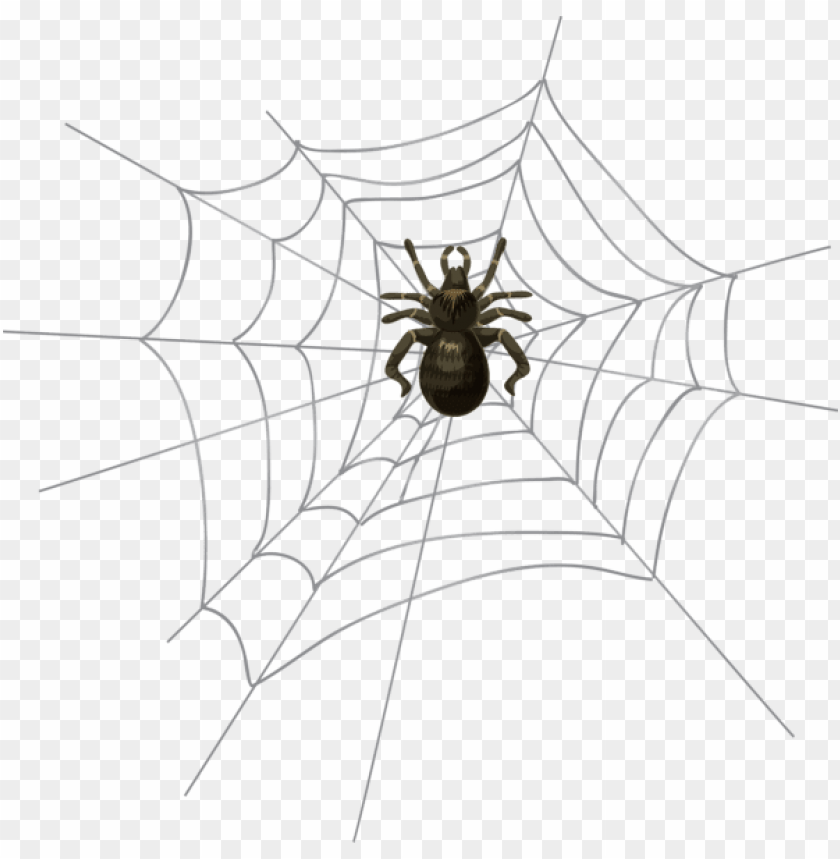 Free download | HD PNG halloween spider web png png images background ...