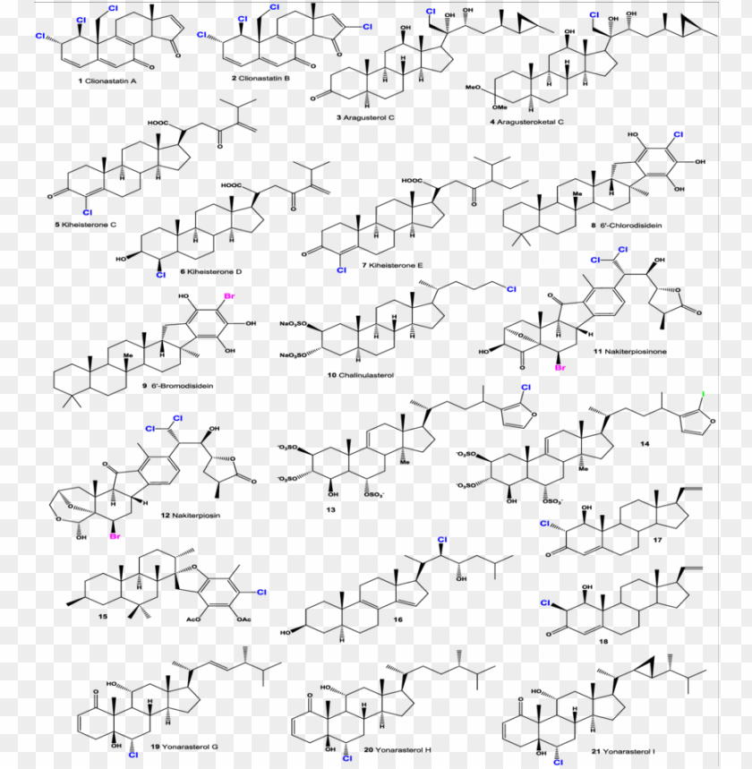 Free download | HD PNG halogenated marine steroids PNG transparent with ...