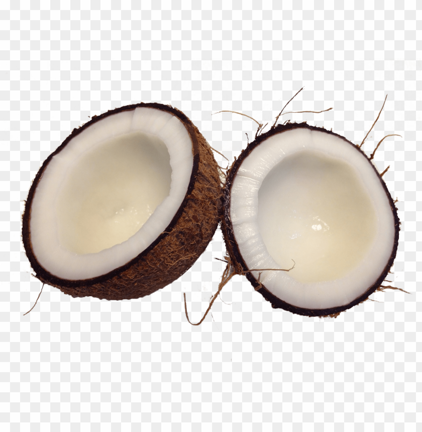 Free download | HD PNG halved cocunut PNG images with transparent ...