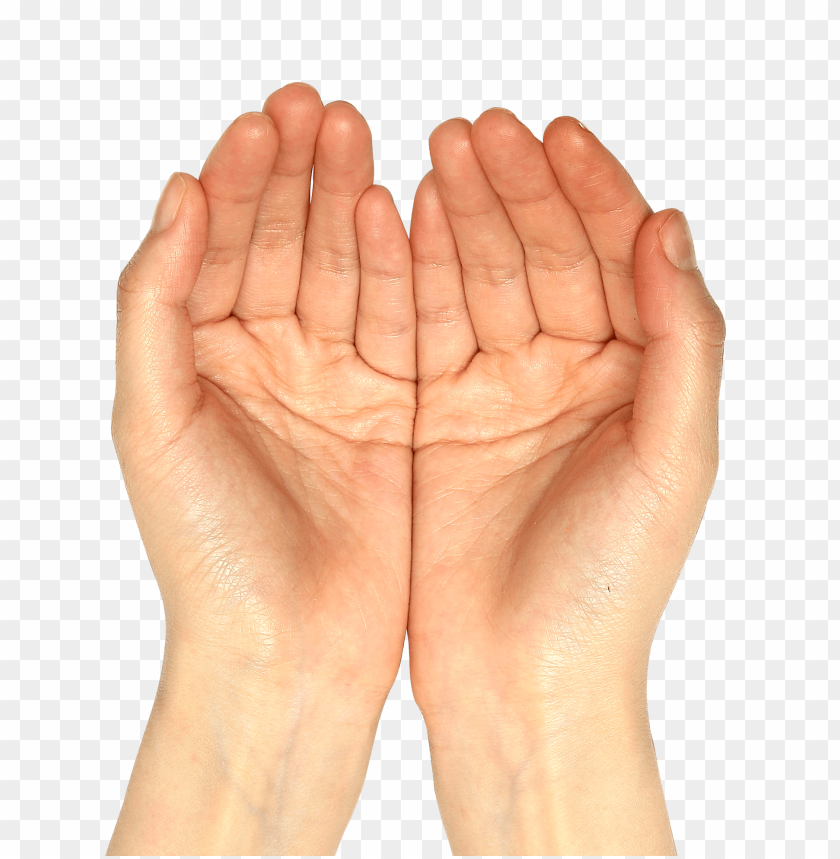 Free download | HD PNG hand png images background - image ID is 2784 ...