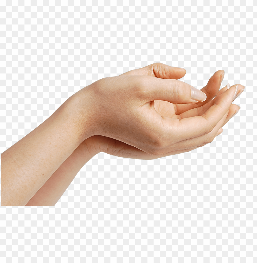 Free download | HD PNG hands cupped together in prayer or holding ...