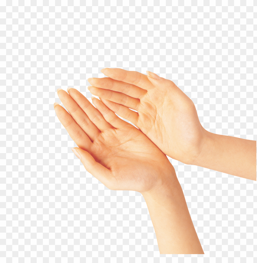 Free download | HD PNG hands clapping together for applause or ...