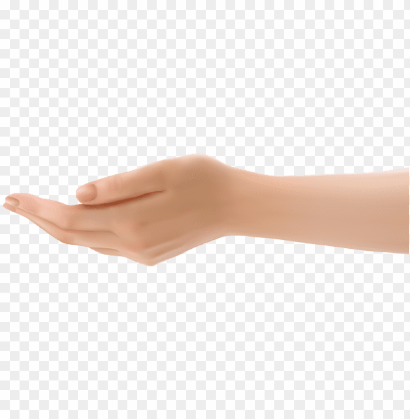 Free download | HD PNG hand clipart png photo - 48268 | TOPpng