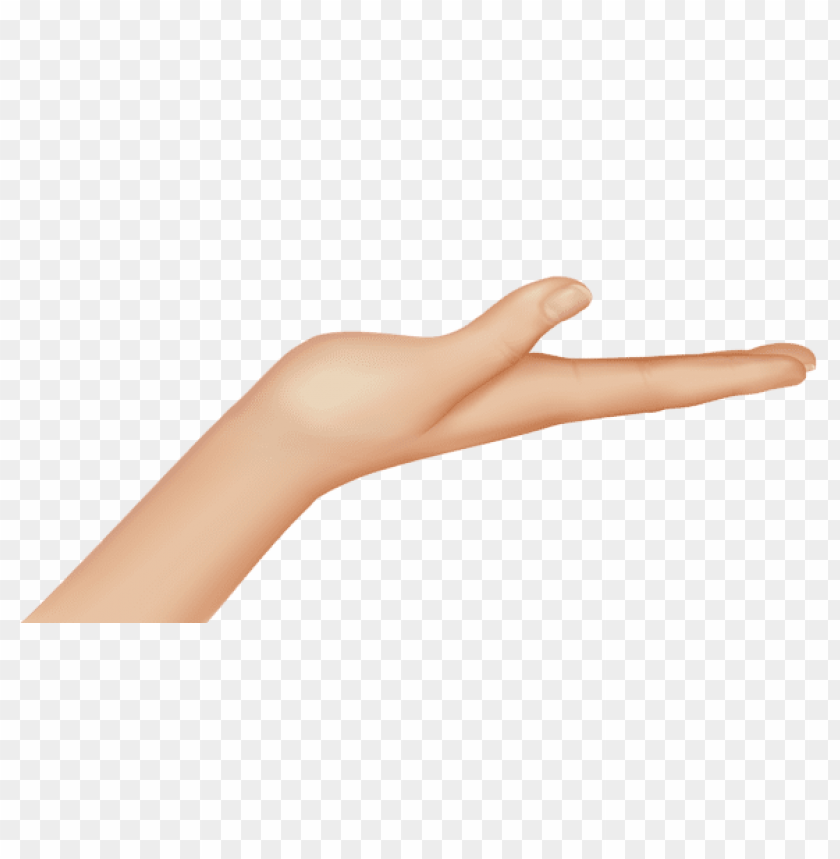 Free download | HD PNG hand clipart png photo - 48374 | TOPpng