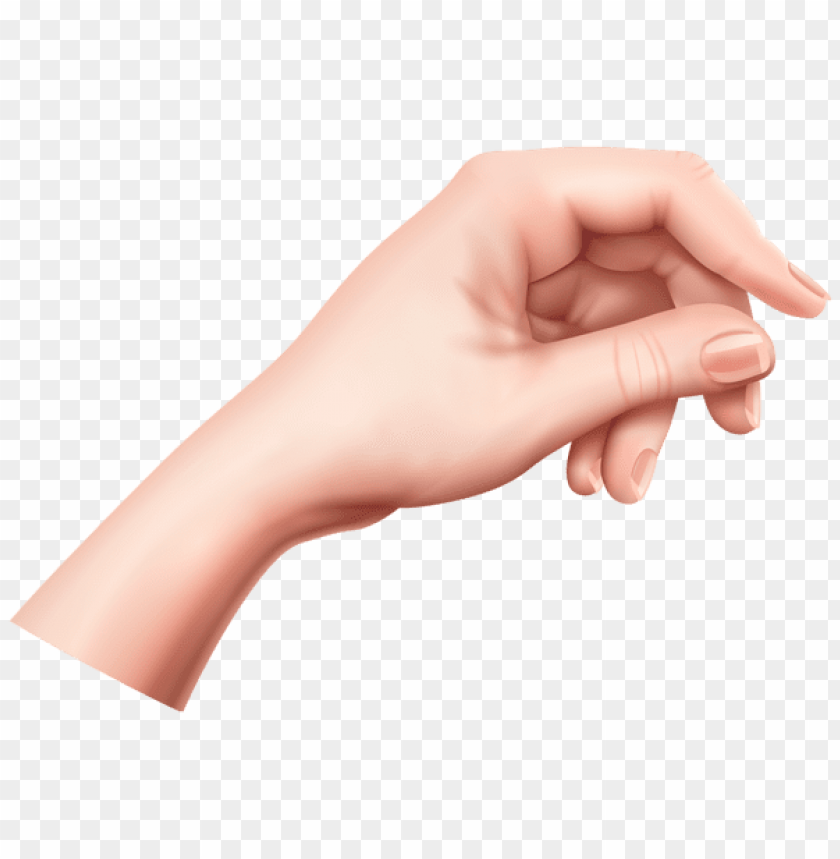 Free download | HD PNG hand clipart png photo - 48436 | TOPpng