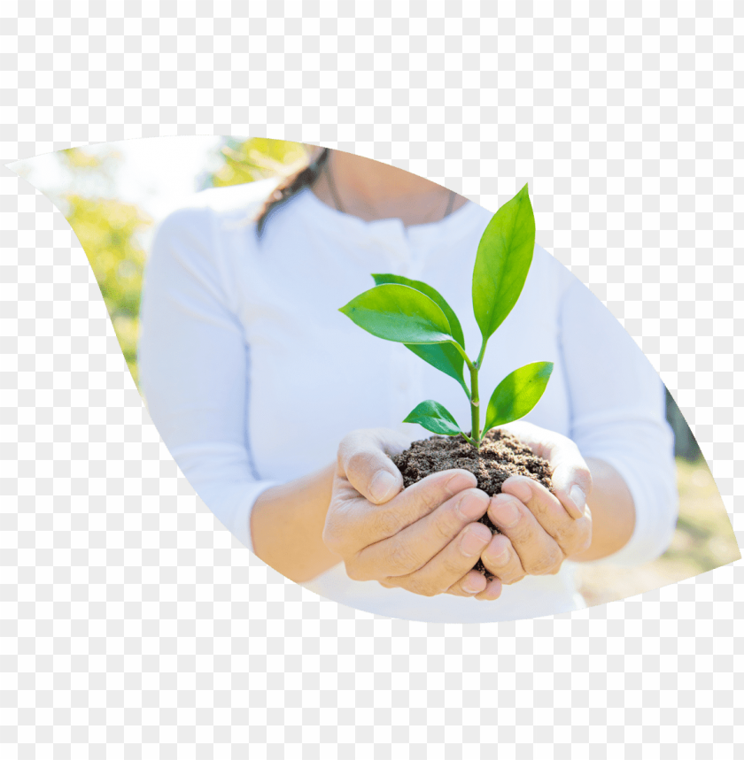 Free download | HD PNG hand PNG transparent with Clear Background ID ...