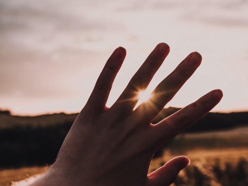 Free download | HD PNG hand fingers sun sunshine rays 4k wallpaper | TOPpng