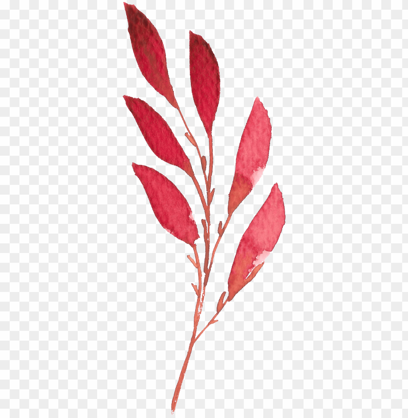 Free download | HD PNG hand painted a red leaf watercolor transparent ...