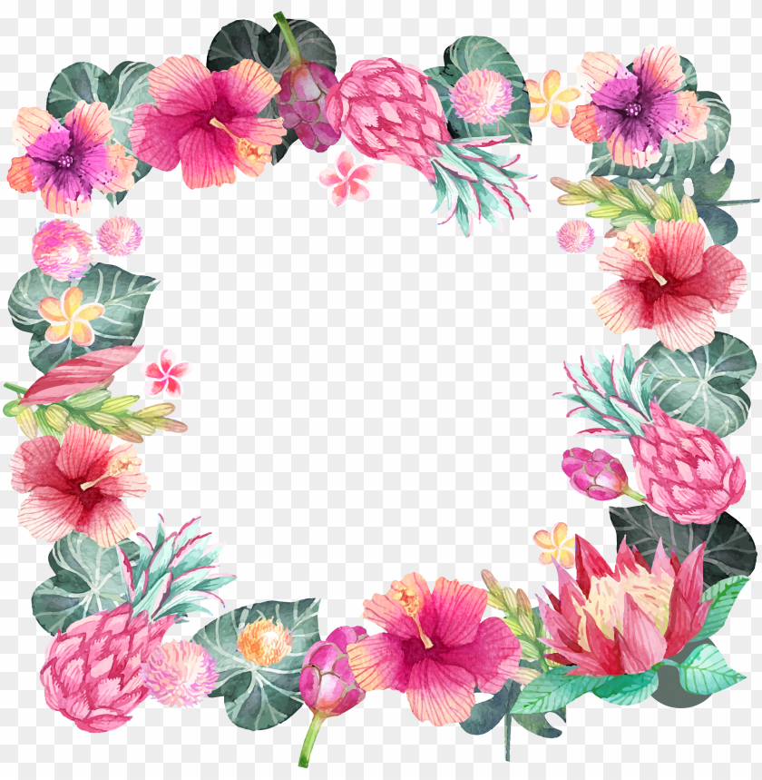 Free download | HD PNG hand painted flower borders PNG transparent with ...
