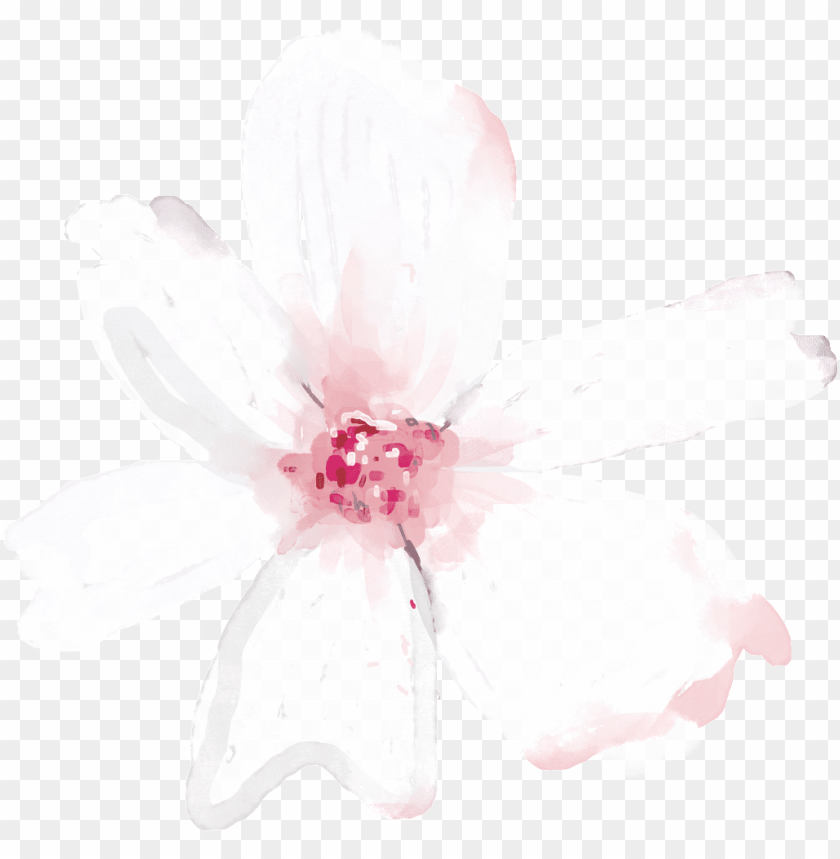 Free download | HD PNG hand painted translucent floral png transparent ...