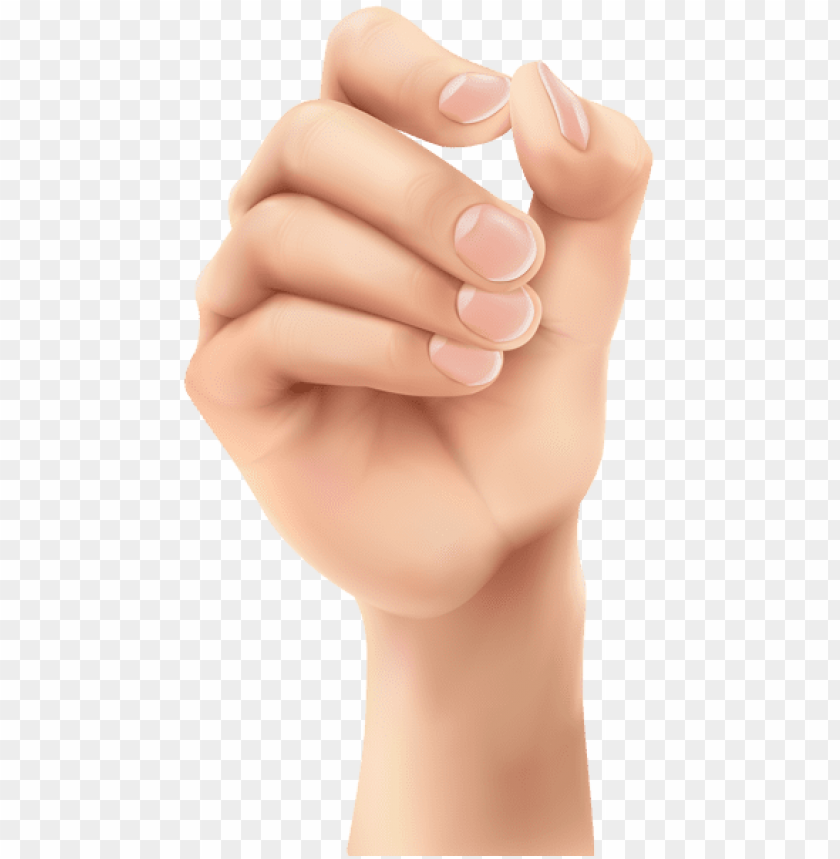Free download | HD PNG hand png clipart png photo - 48461 | TOPpng