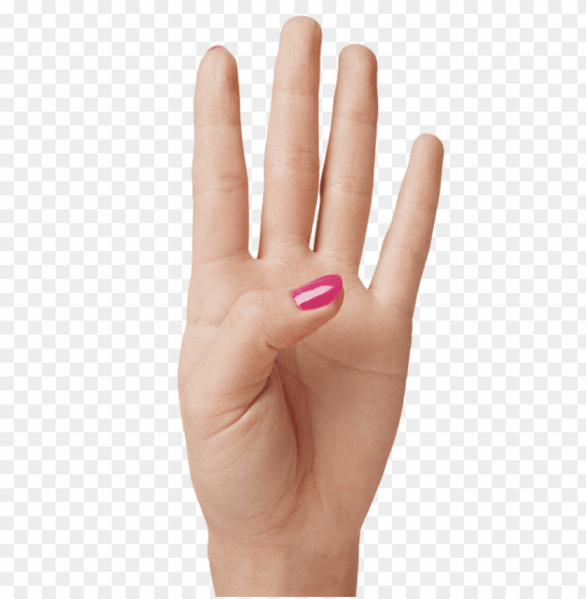 Hand Showing One Fingers 11546972638zq1mq0rfm2png cutout PNG & clipart ...