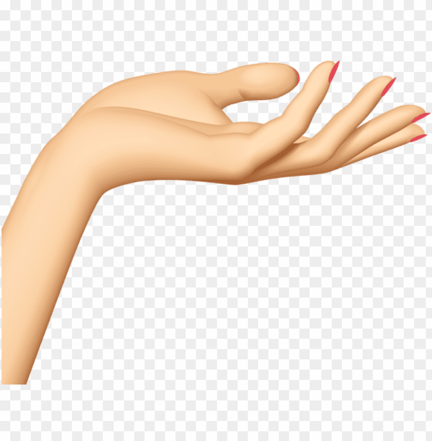 Free download | HD PNG hand transparent clipart png photo - 48392 | TOPpng