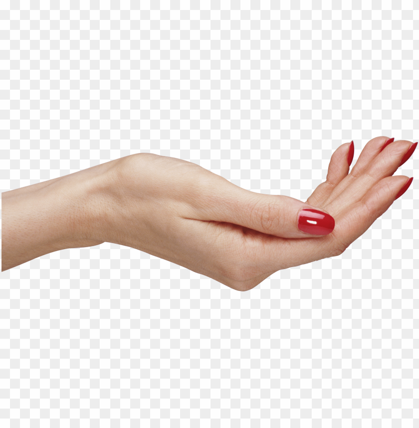 Free download | HD PNG Transparent background PNG image of hands ...