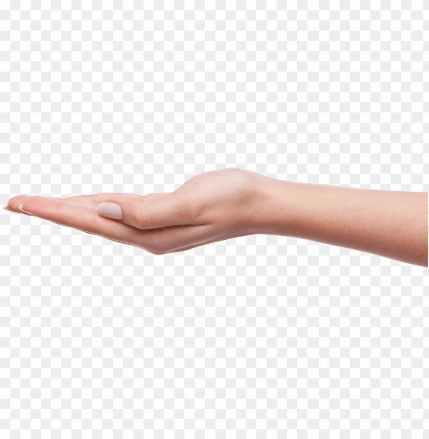 Free download | HD PNG Transparent background PNG image of hands ...