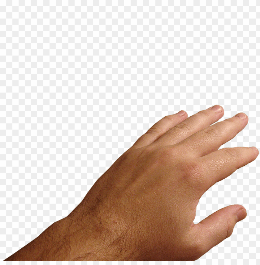 Free download | HD PNG Transparent background PNG image of hands ...
