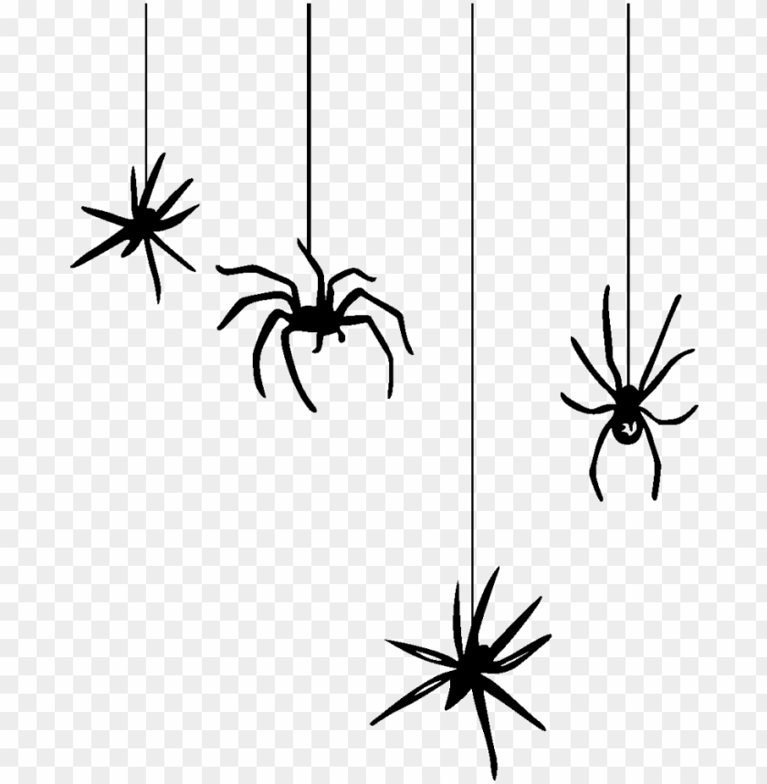 Free download | HD PNG hanging spider png spiders halloween PNG image ...