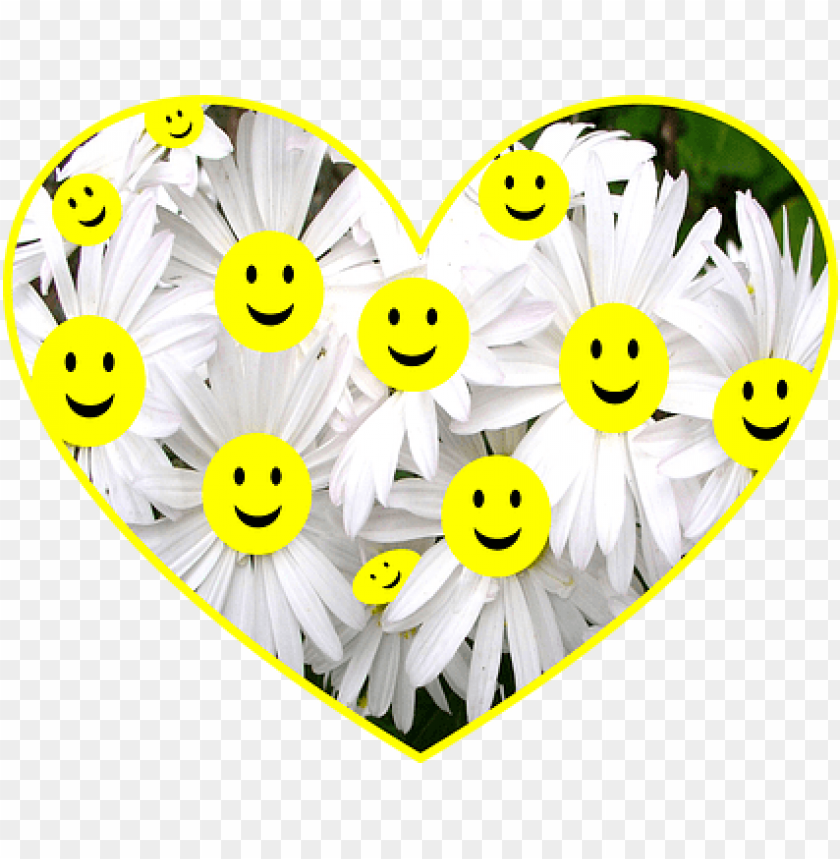 Free download | HD PNG happy face daisy flowers smiley smiling wh smile ...