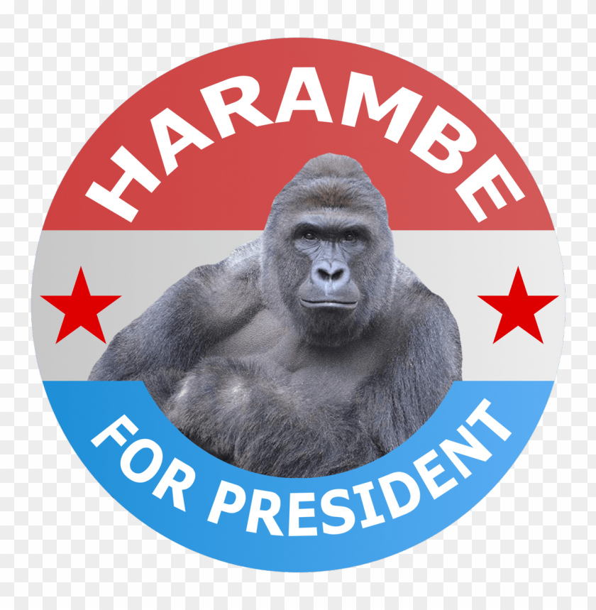 Free download | HD PNG harambe for president PNG transparent with Clear ...
