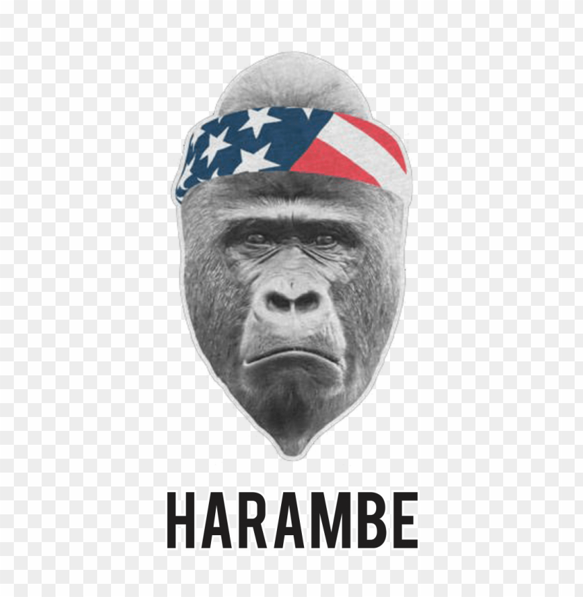 Free download | HD PNG harambe headband PNG transparent with Clear ...
