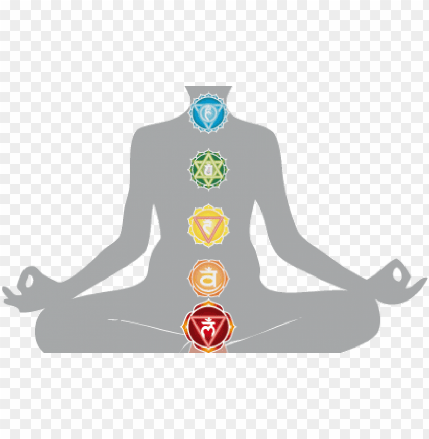 Free download | HD PNG harmonizing the energy body chakra anatomy root ...