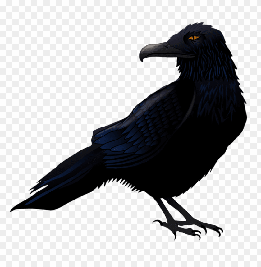 Free download | HD PNG haunted raven png vector png images background ...