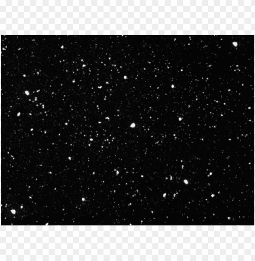 Free download | HD PNG PNG image of high contrast white dust particles ...