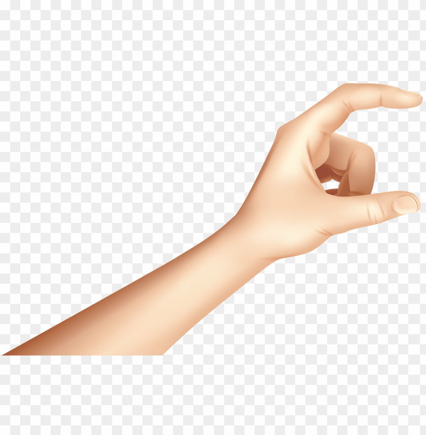 Free download | HD PNG holding hand gesture png clipart png photo ...