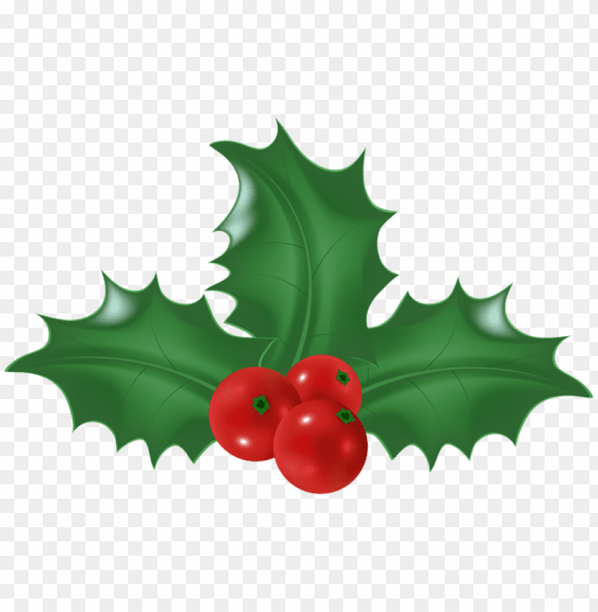 Free download | HD PNG holly mistletoe PNG Images 40982 | TOPpng