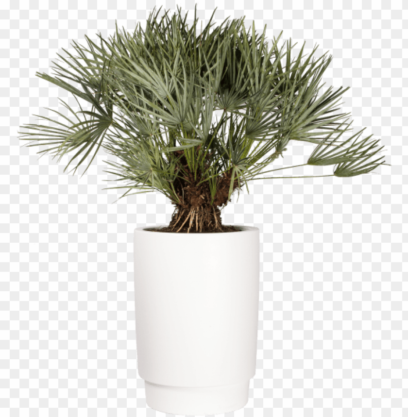 Free download | HD PNG home collection pure grade high PNG transparent ...