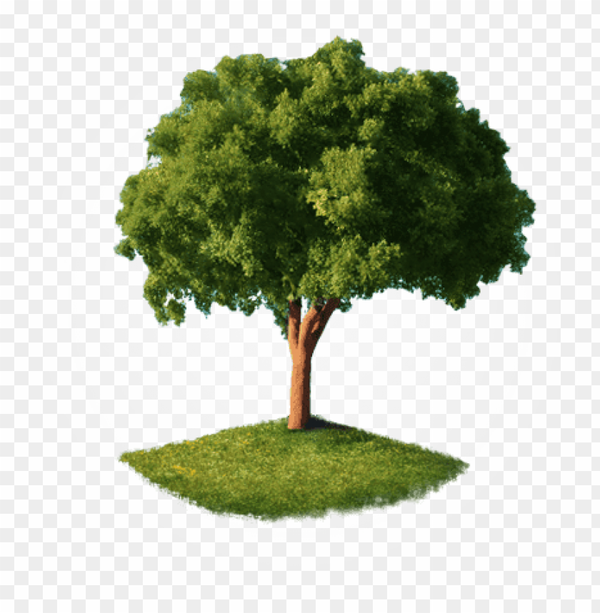 Free download | HD PNG home tree tree png perspective view PNG ...