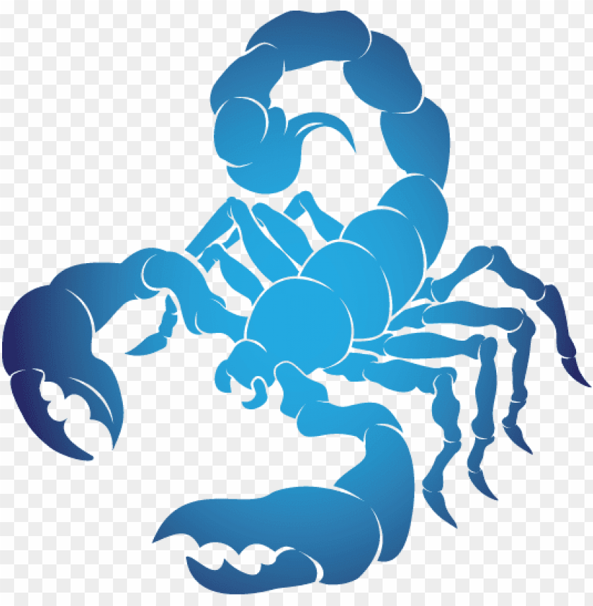 Free download | HD PNG horoscope scorpio sign PNG transparent with ...