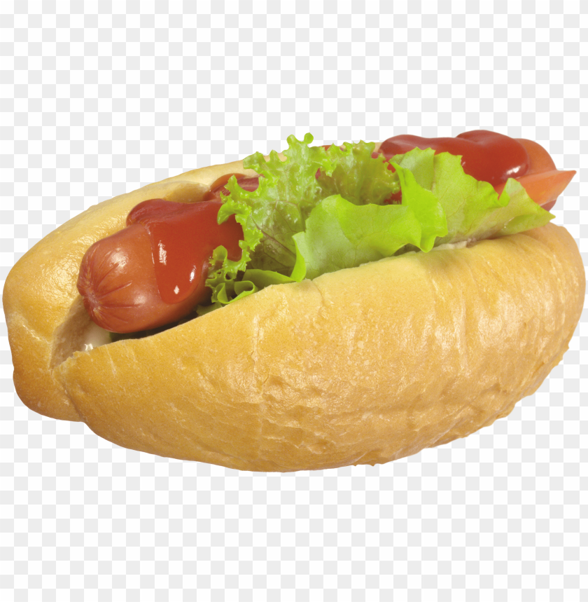 Free download | HD PNG hotdog with mustard and lettuce in bun png PNG ...