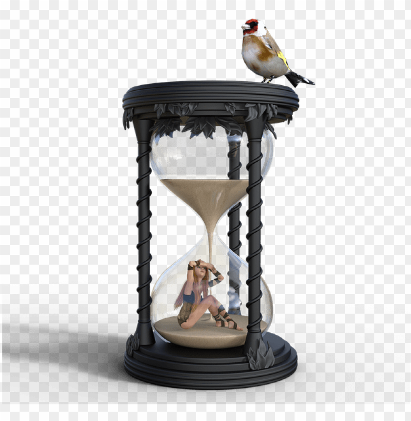 Free download | HD PNG hourglass animal PNG transparent with Clear ...