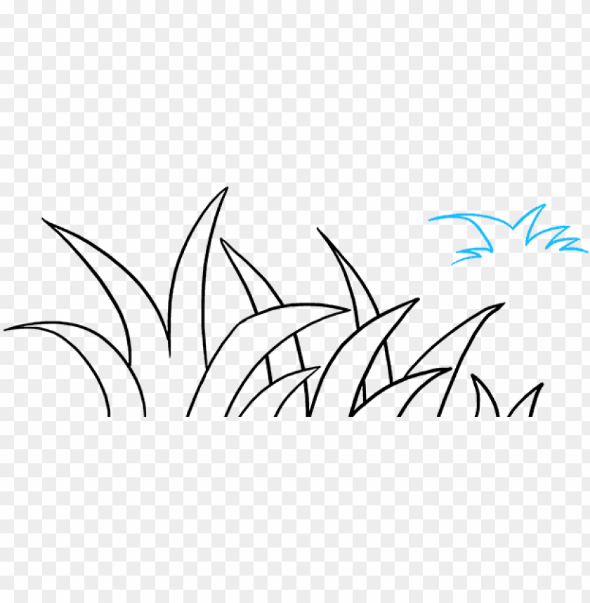 Free download | HD PNG how to draw grass drawi PNG transparent with ...